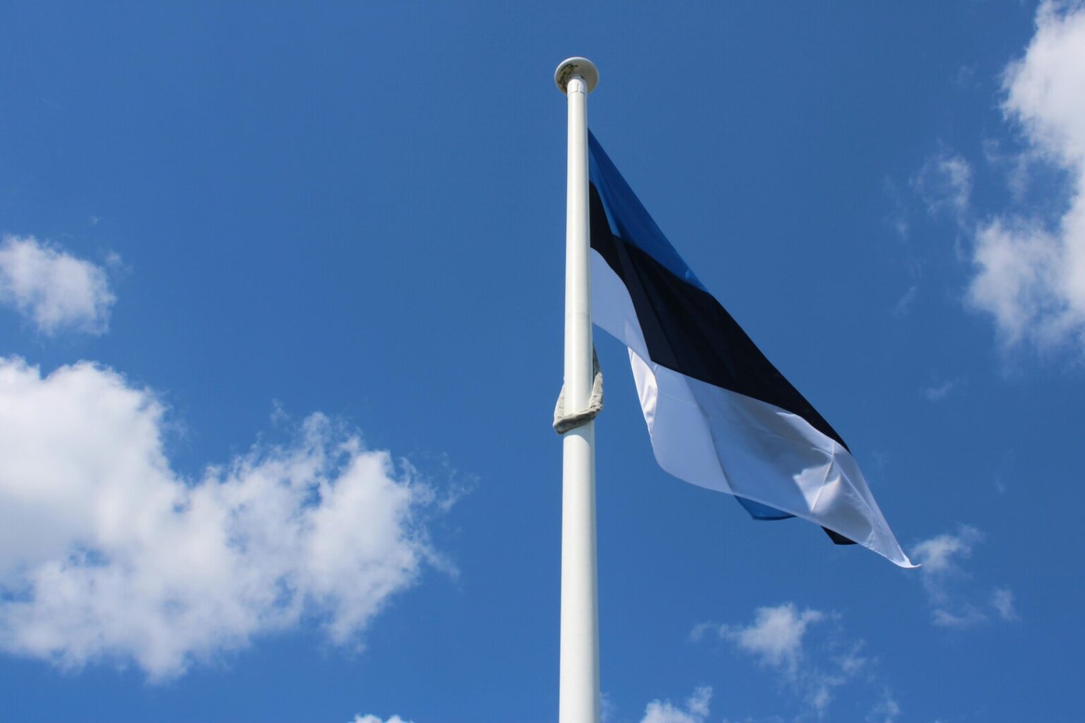 Option of female conscription in Estonia leads to vaster demographic ...
